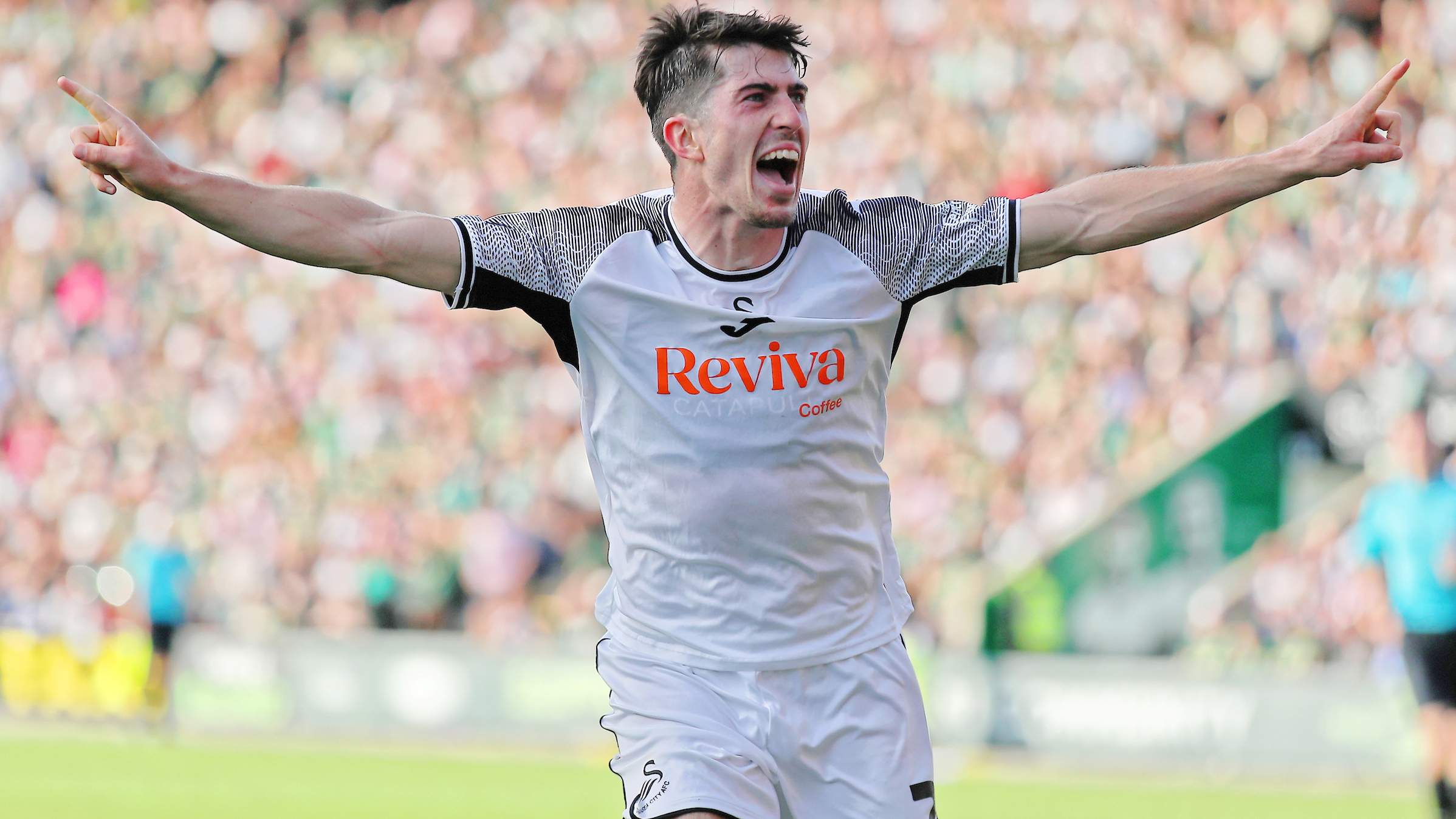 Swans TV Live Confirmation | Swansea